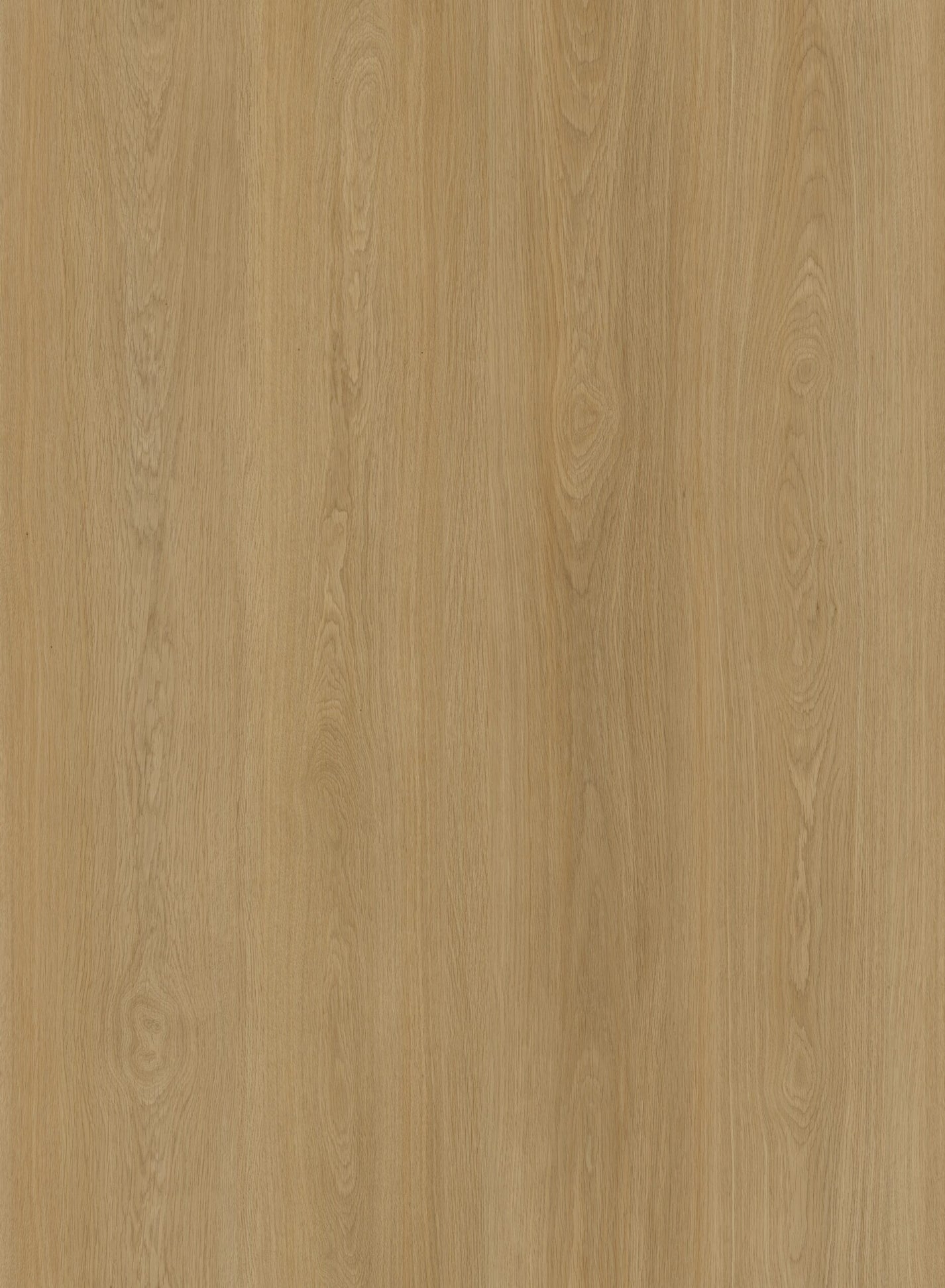 HTBC Oceanus Coastal Oak 9"x60"x8mm SPC Vinyl Flooring – Capital Tile